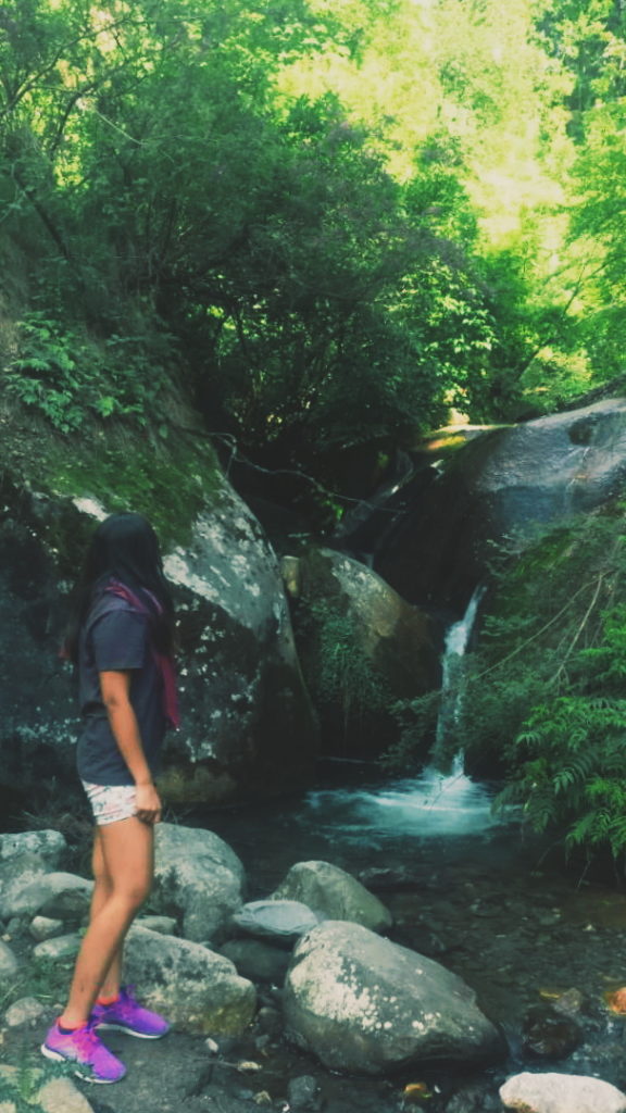 Parvati Valley: Kasol, and the Undiscovered – wayward wayfarer