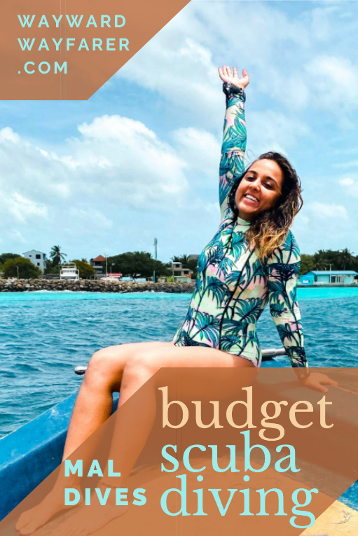 Scuba Diving in the Maldives on a Budget - Reef Oceanic Adventures ...