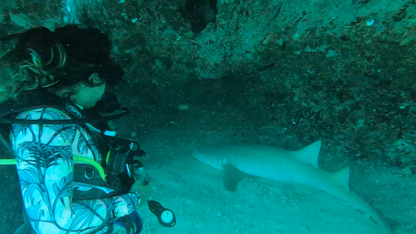 Scuba Diving in the Maldives on a Budget - Reef Oceanic Adventures ...